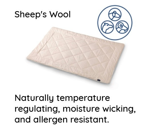 MARIA Sheep’s Wool Duvet Insert – Two Blankets